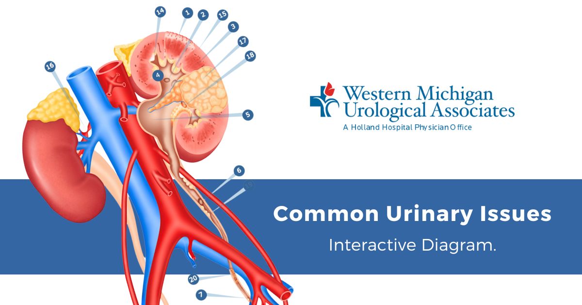 Common Urinary Issues - Western Michigan Urological Associates